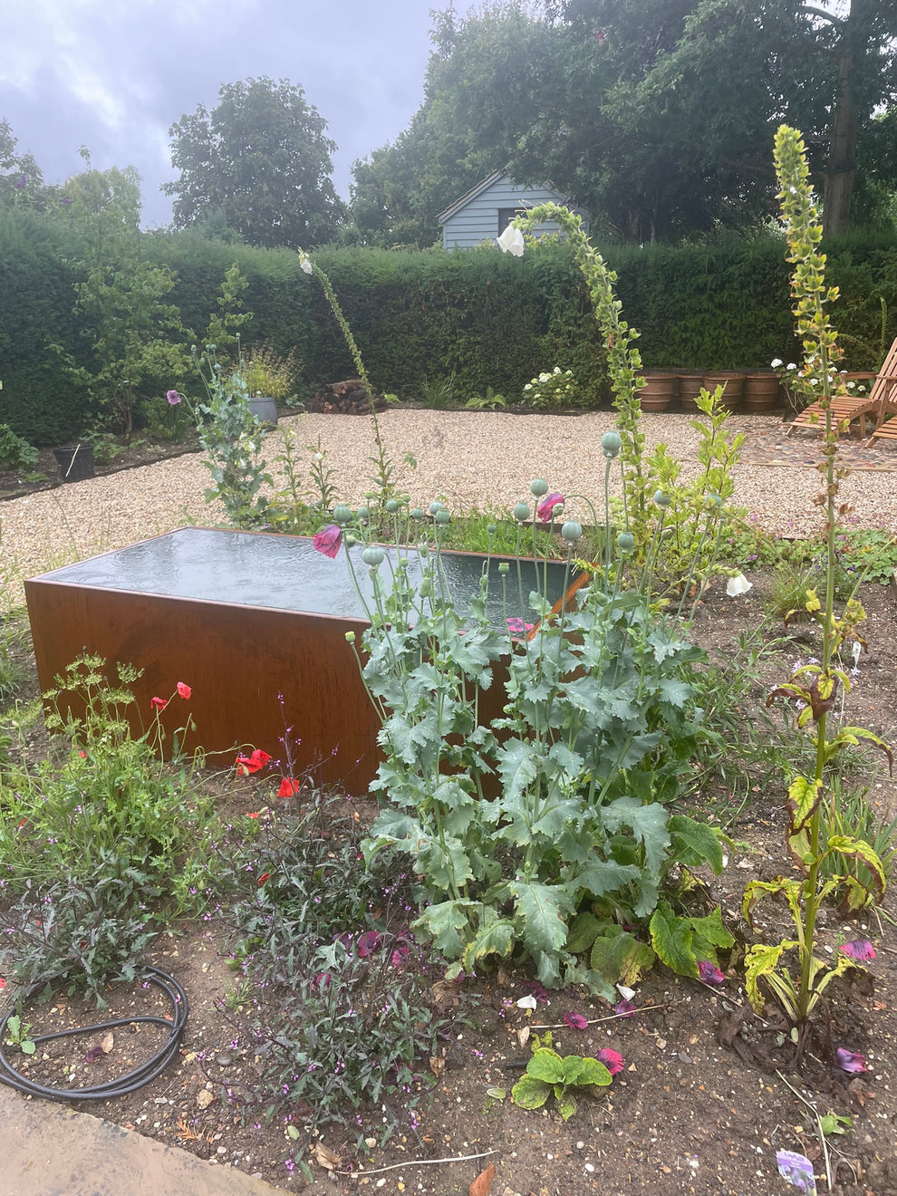 Corten Steel Still Water Ponds and Rills – Paul Taylor Metalwork